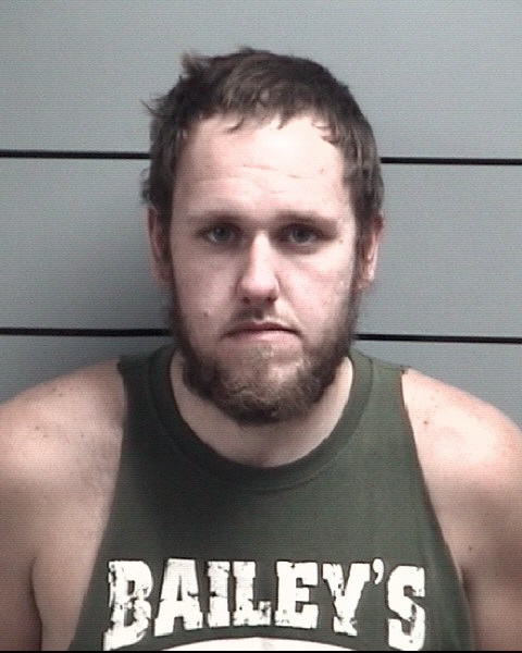 Whaley Lodged for Domestic Battery In Presence of a Child